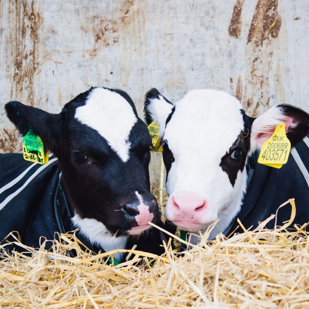 BRITISH FARMER SUPPORT FROM VOLAC - Agribusiness Communications ...